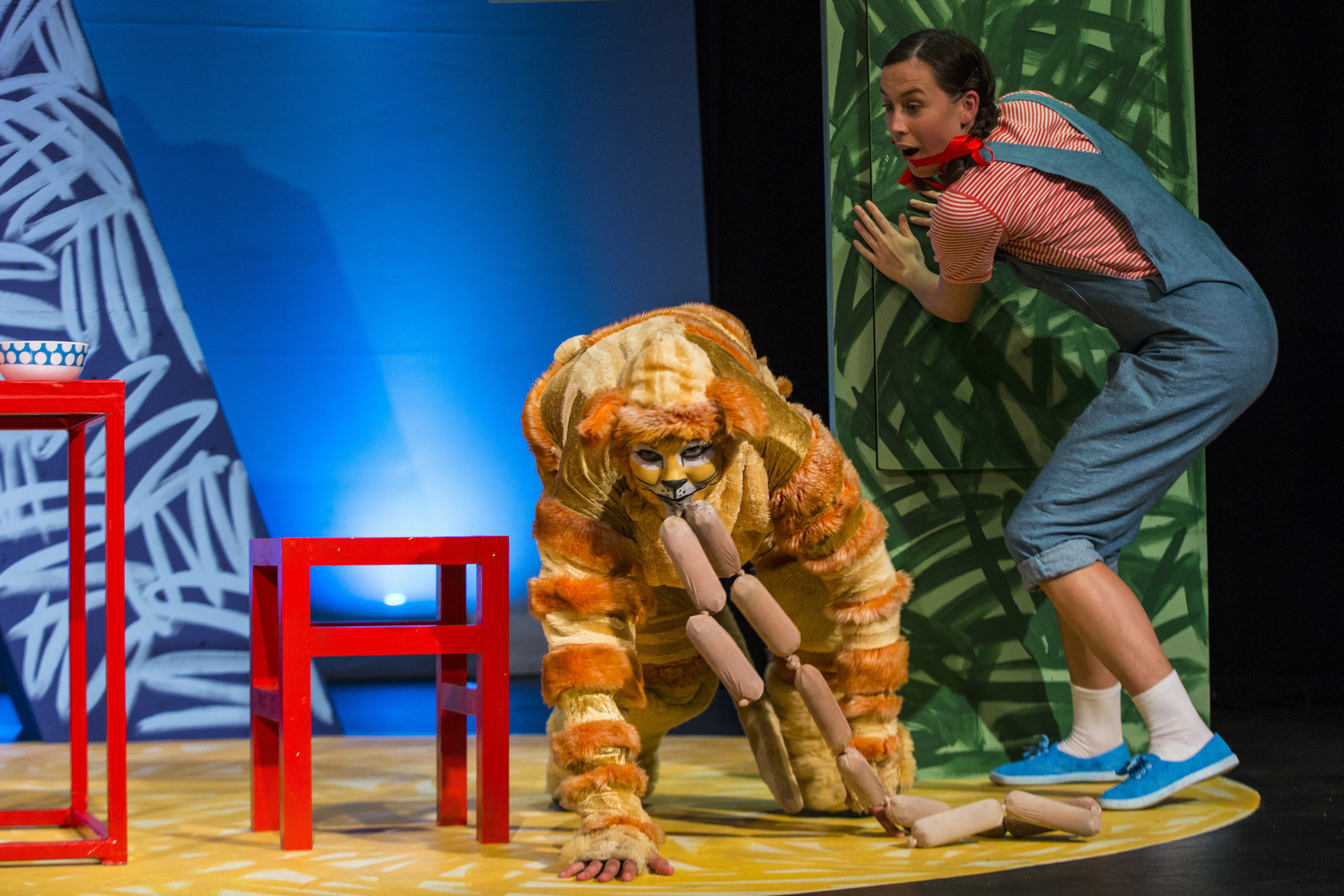 Event: Greedy Cat - Andrew Whiteside